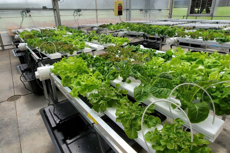 Rachel Fogle - Harrisburg University