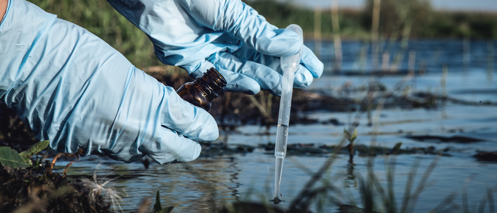 Harrisburg University Awarded Research Partner Status in Chesapeake Watershed Cooperative ...