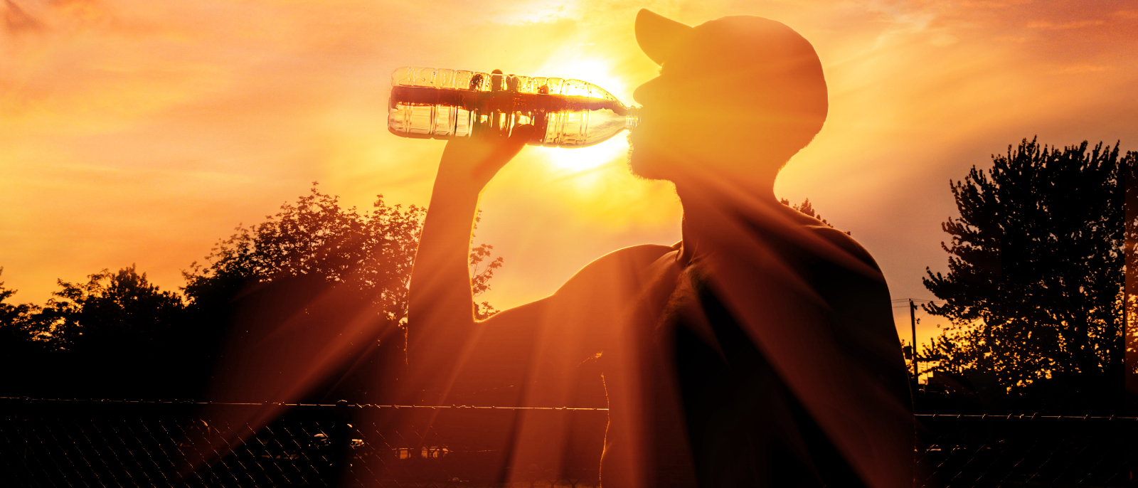 Examining the Impact of Record Summer Heat in Central PA - Harrisburg ...