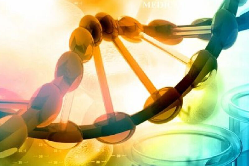 New study suggests tabletop games offer benefits to reduce anxiety