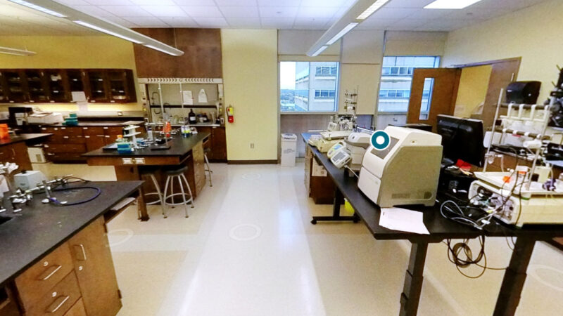 Bachelor of Science in Biotechnology | Harrisburg University