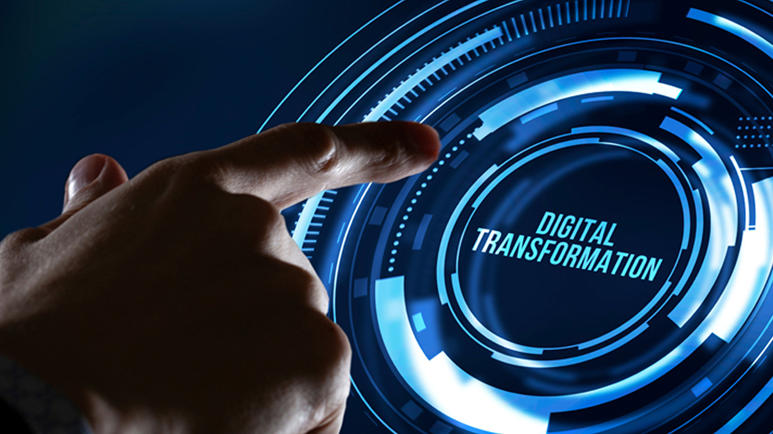 Digital Transformation University at Blanca Taylor blog