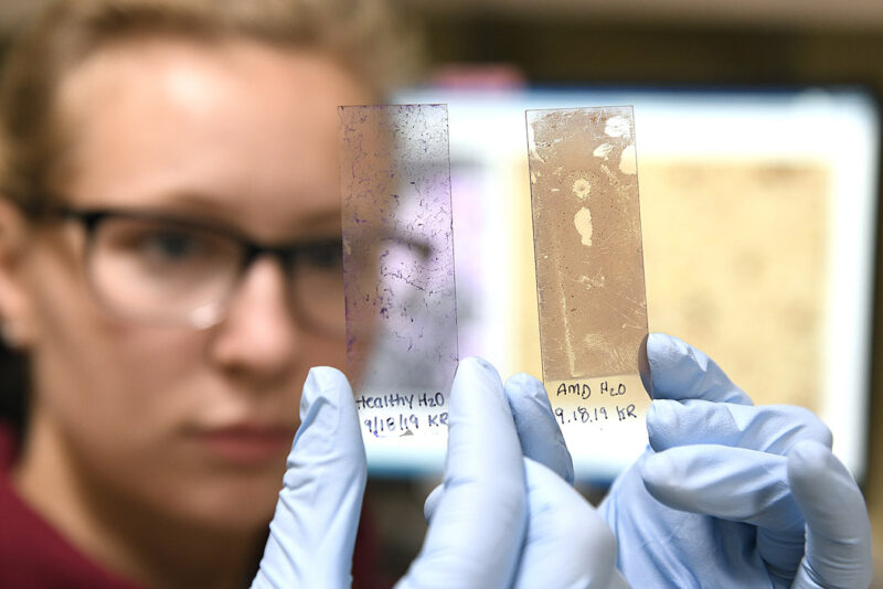 Bachelor of Science in Forensics | Harrisburg University