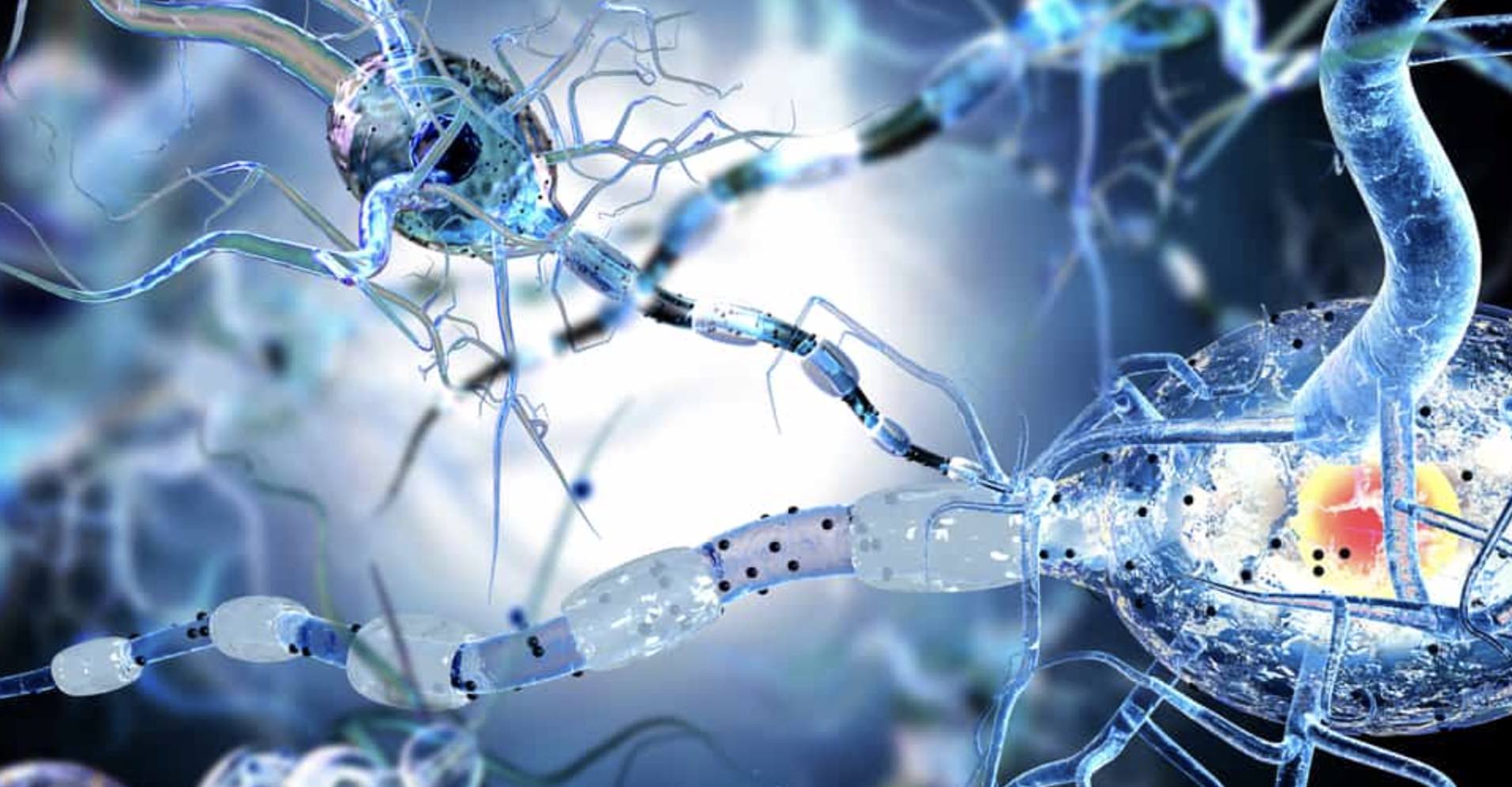 Nanobiotechnology Workforce Training on a Shoe-String Budget